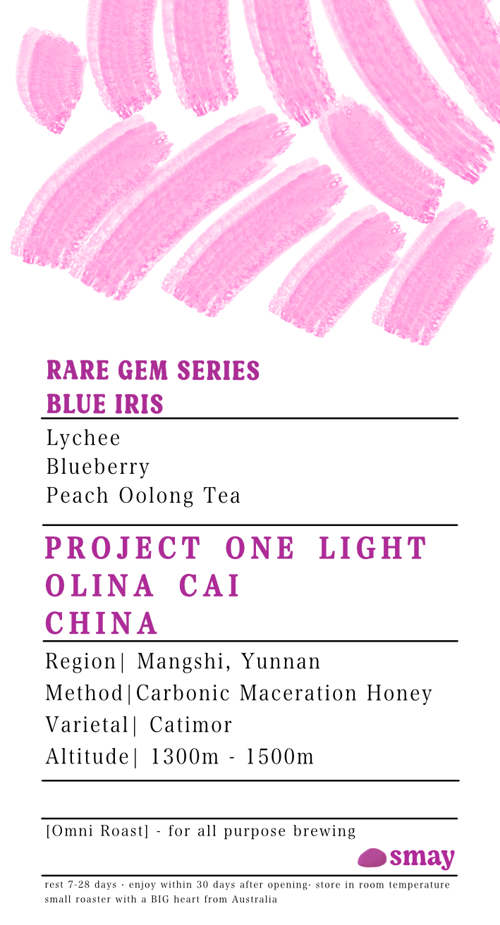 China: Olina Cai, Project One Light, Blue Iris – Smay Coffee
